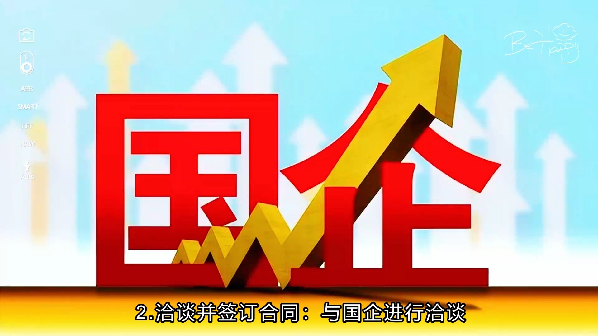 国企挂靠的操作流程以及挂靠条件的详细说明