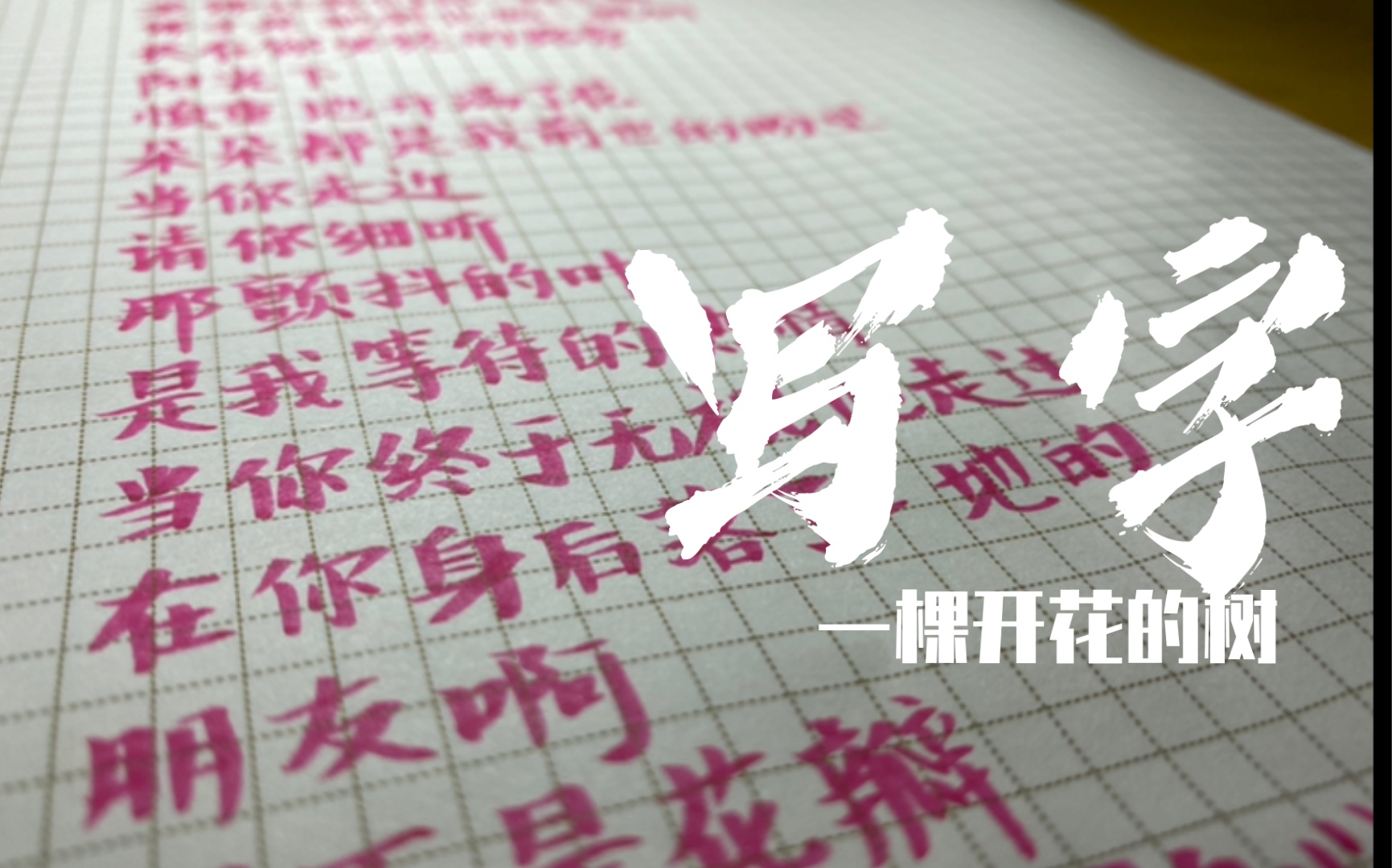 钢笔式毛笔写字,手写声控失败,还有一只苍蝇入镜