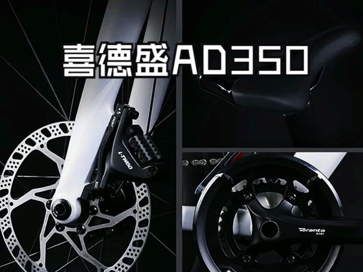 ...购买的品牌 喜德盛AD350,万元级颜值三千多的价格,国内自行车顶级.