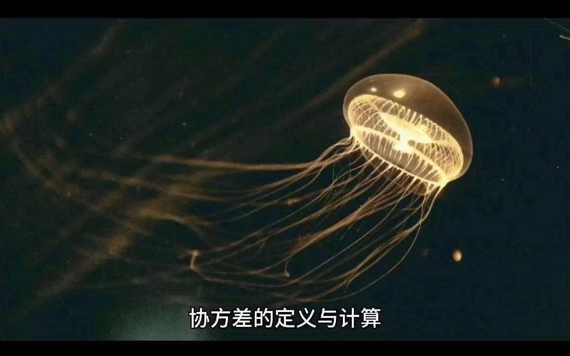 作业No34_协方差的定义和计算