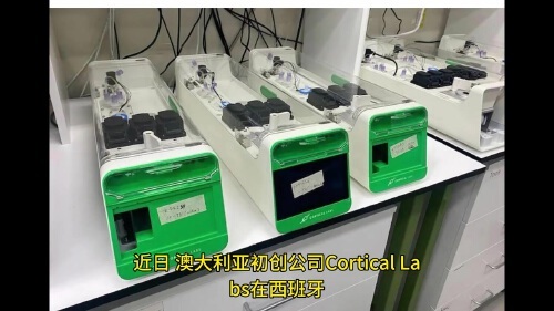 全球首台碳基硅基合成生物智能计算机CL1问世,开启计算新纪元