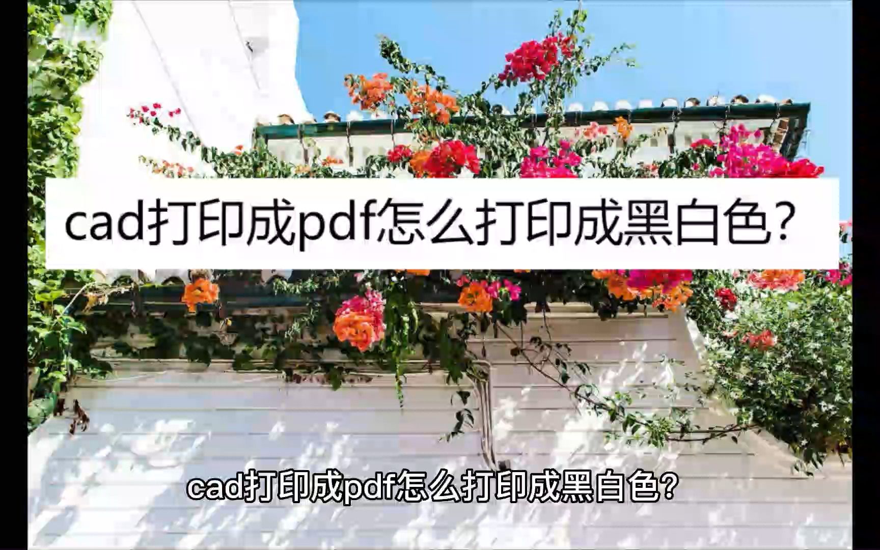 cad打印成pdf怎么打印成黑白色