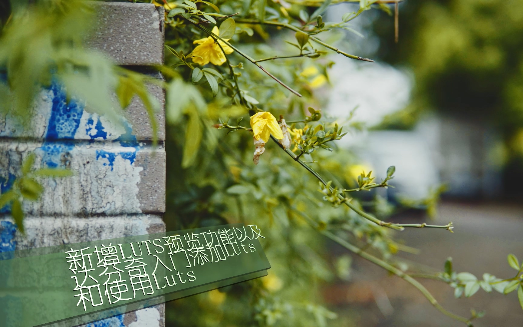 【达芬奇调色15小技巧#02】一键Luts预览功能以及入门了解如何添加...