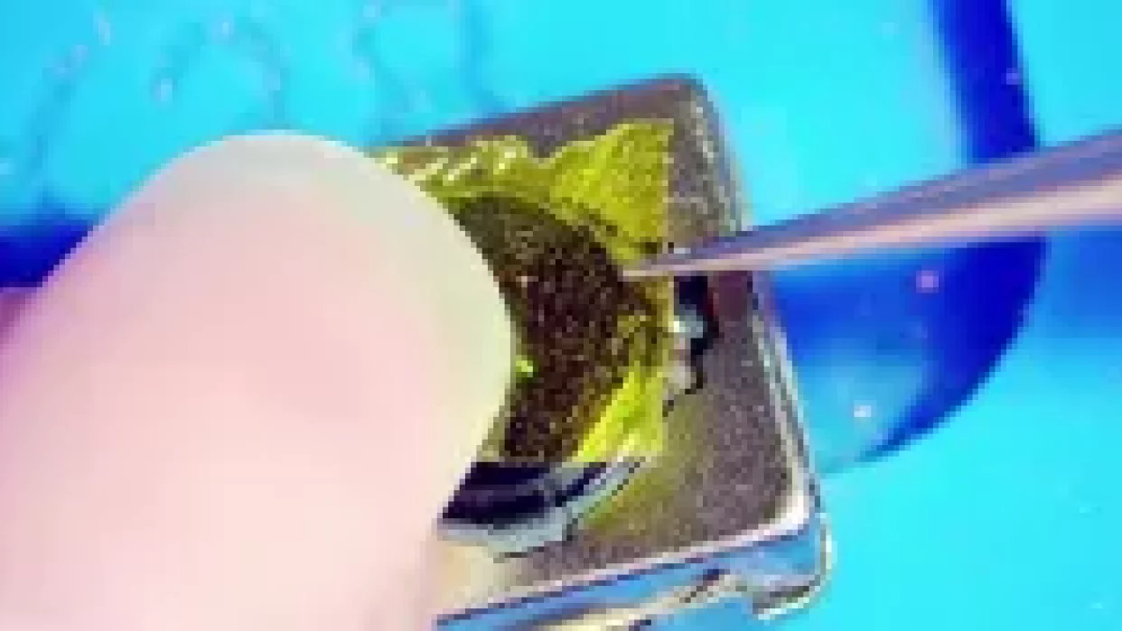 手机摄像头修复方法实例(短视频)