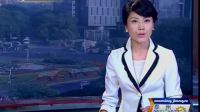 两部门规范86种经济犯罪立案追诉标准 [早安江苏]