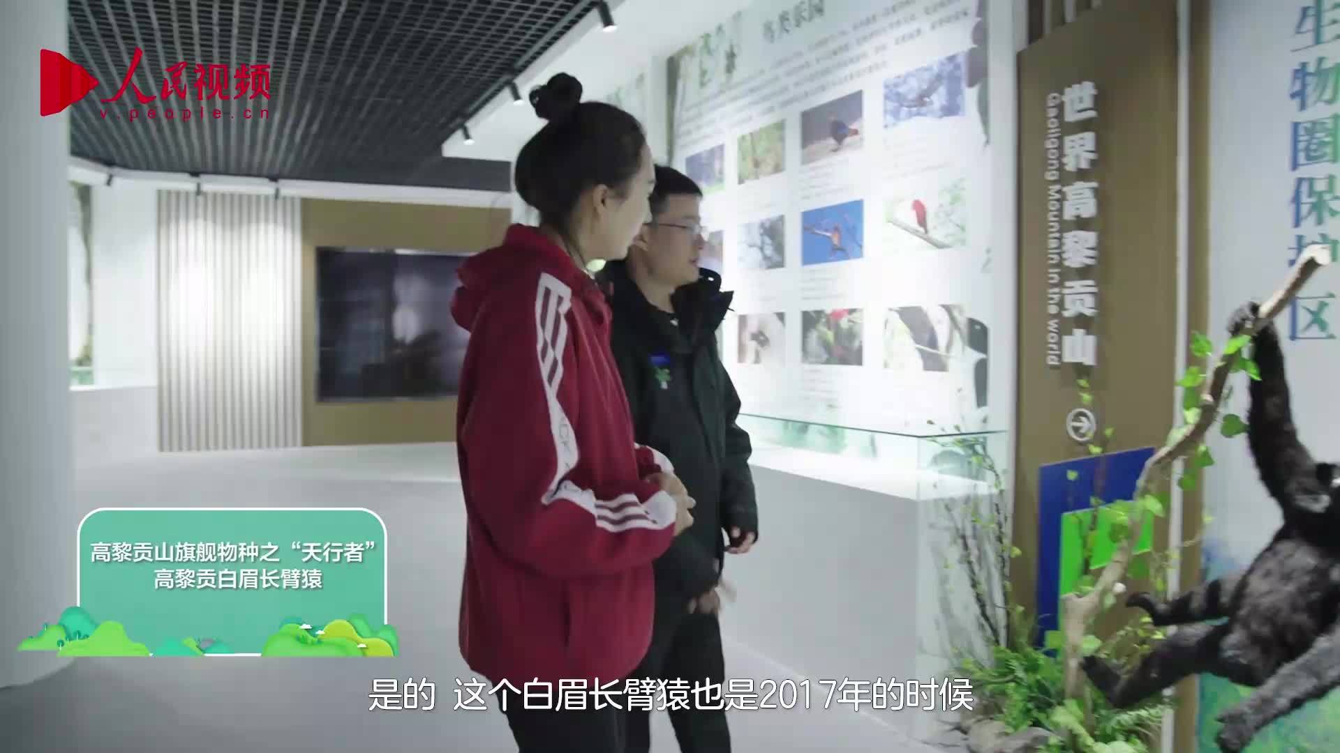 走进神奇动植物:一节生物多样性科普课