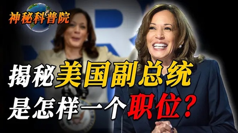 揭秘美国副总统,美国二哥,总统备胎,它究竟是怎样一个职位?