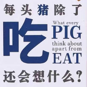 养猪少年刘二狗 