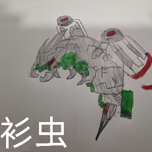 衫虫 