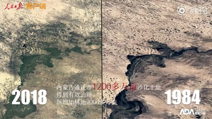 #新疆10万亩沙漠变绿洲#【植树造林、治理沙漠