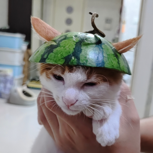 小明同学080 