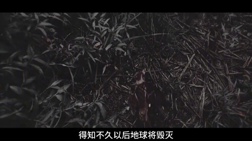 多时空穿越末日题材电影《从世界末日开始》她选择了把世界格式化