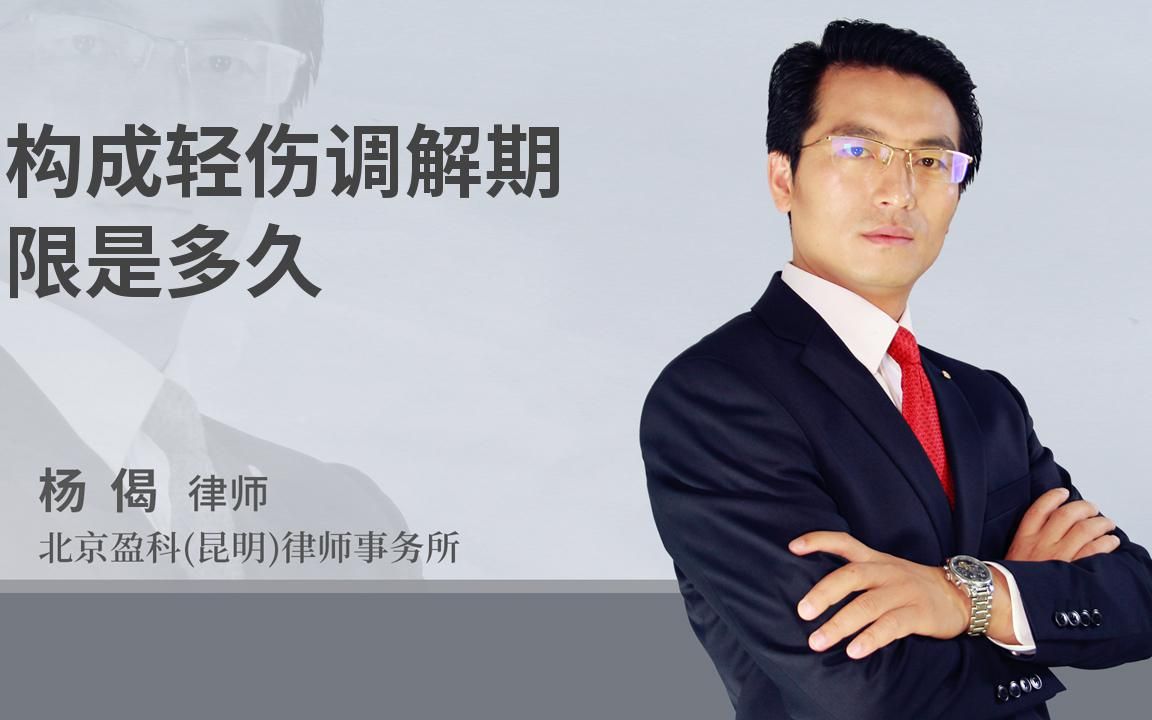 构成轻伤调解期限是多久