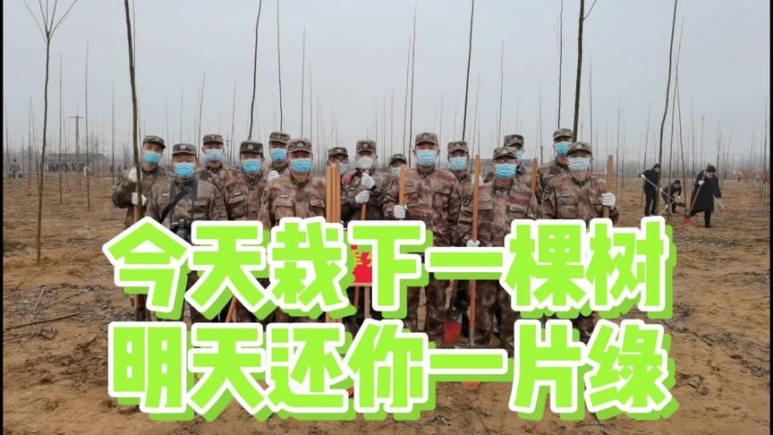 全民参与植树活动,共同营造美丽环境!#园林绿化 #生态种植