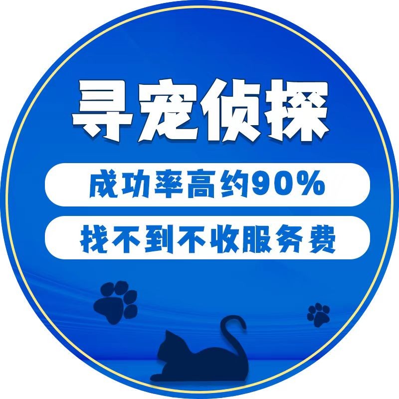 寻宠团队找猫找狗团队 