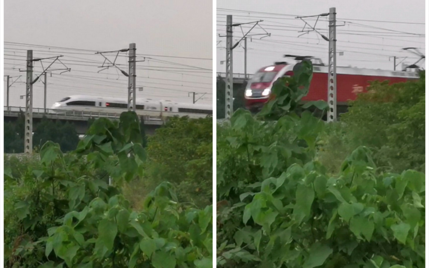 动车组与普速列车你追我赶,D1944次(成都东——西安北)汉中站发车...