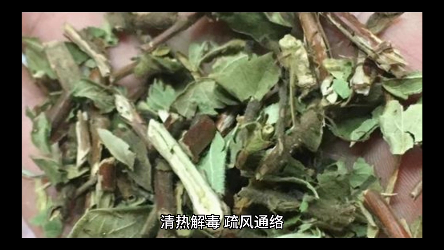 忍冬藤功效与作用