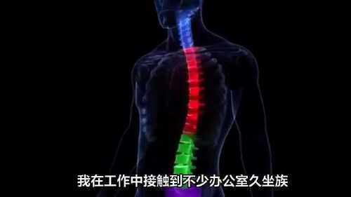 颠覆认知!玉枕尾闾竟是真气运行的关键,传统练法都错了?