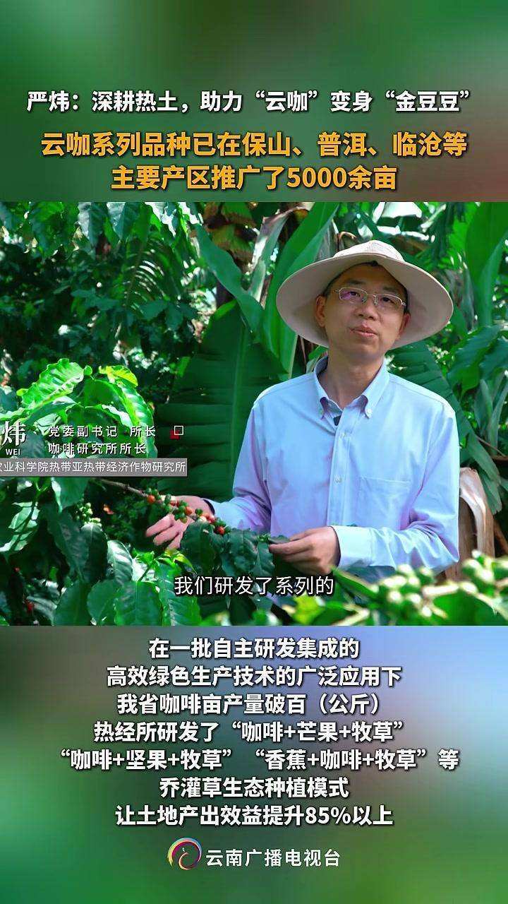 热经所研发了"咖啡+芒果+牧草""咖啡+坚果+牧草""香蕉+咖啡+牧草"等...