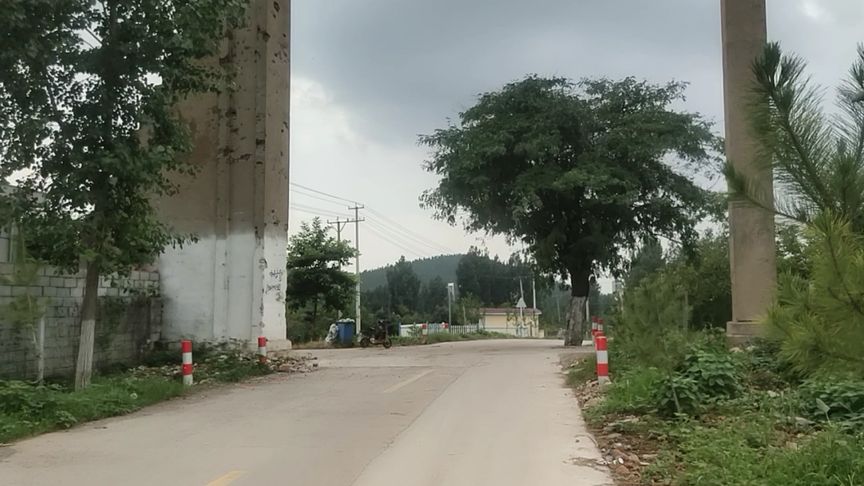 乡村振兴典型案例