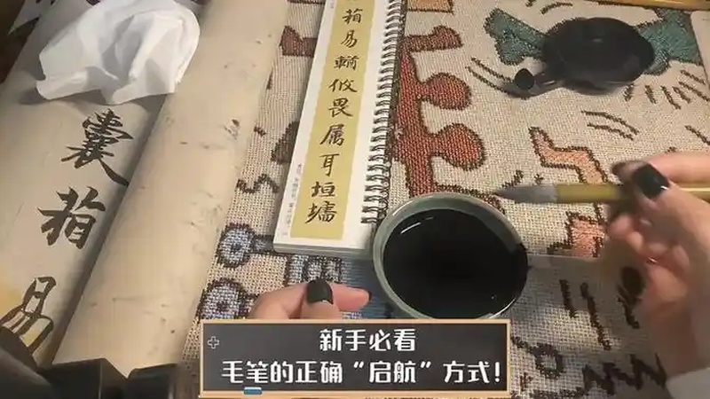 新手必看,毛笔的正确"启航"方式!