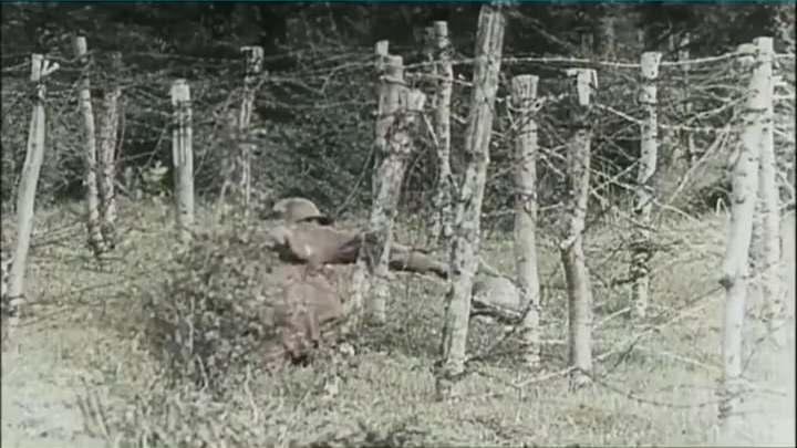 第二次世界大战伤亡最惨重的国家排名