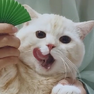 你喜欢斯斯么 