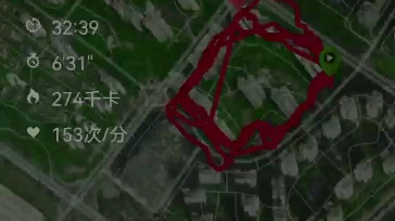 佩戴佳明245手表在小区内跑步,因为高楼和树木遮挡导致GPS不准,飘...