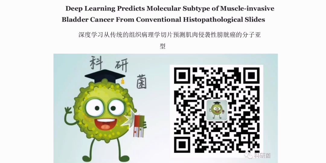 这篇17分的文章告诉你:深度学习和分子分型其实并不难!