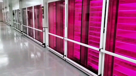 导光板培养架,组培室,组培快繁
