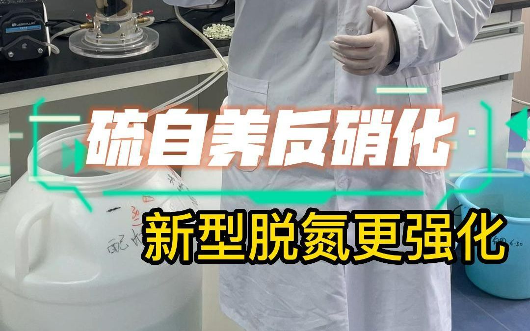 硫自养反硝化 新型深度脱氮技术