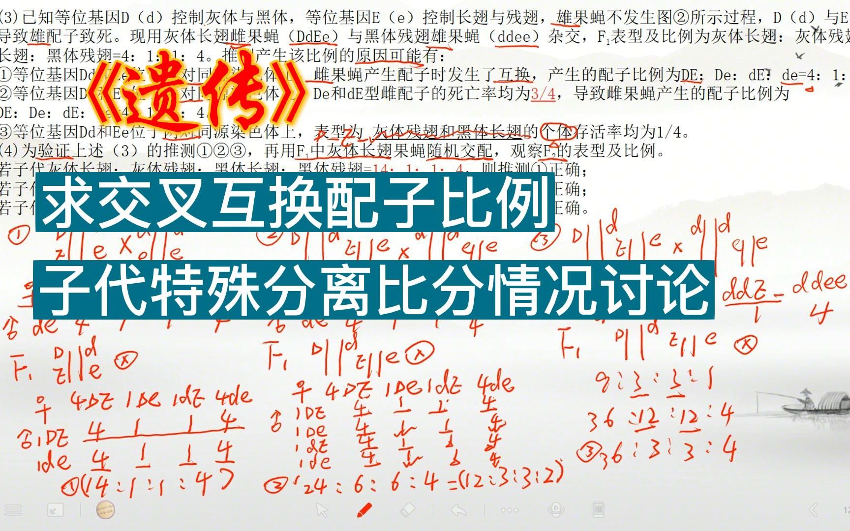 遗传-交叉互换配子比例-子代特殊分离比分情况讨论