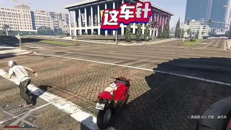 狗狗大盗 游戏 动物 危险动作请勿模仿 萌宠出道计划 骑妙出行一起九号