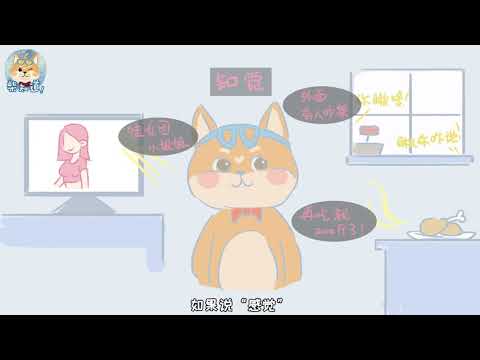 【科普】人类如何认知世界?