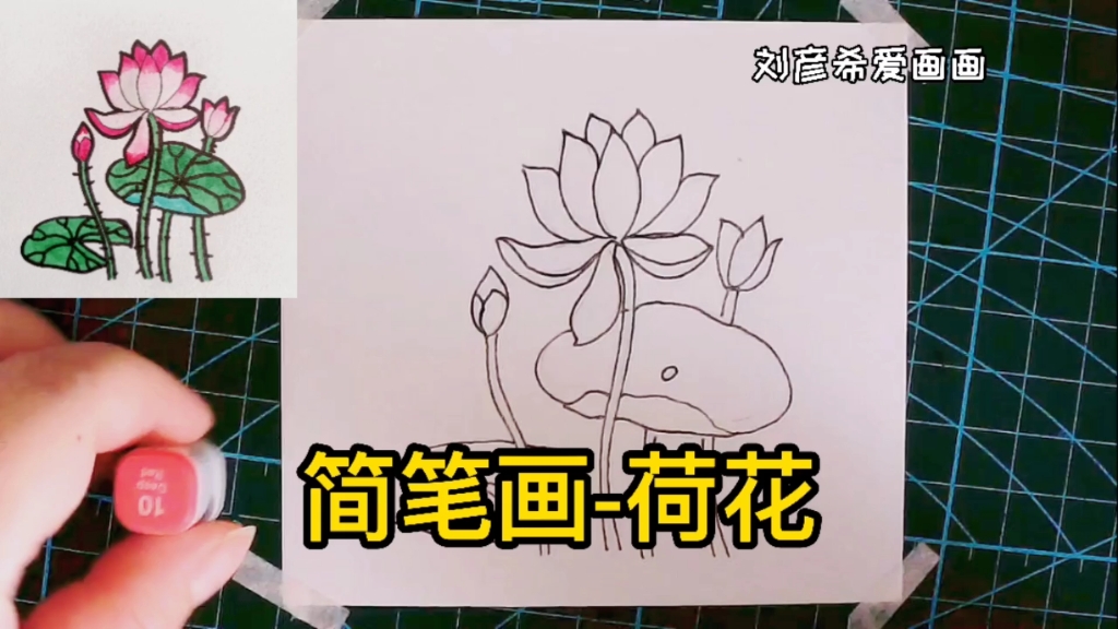 一学就会的简笔画-荷花