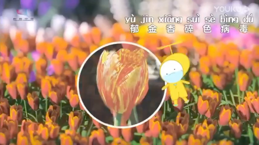 新型冠状病毒科普
