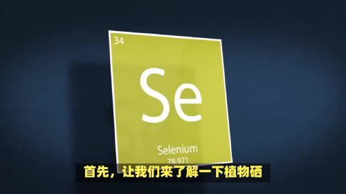 植物硒和有机硒有啥区别