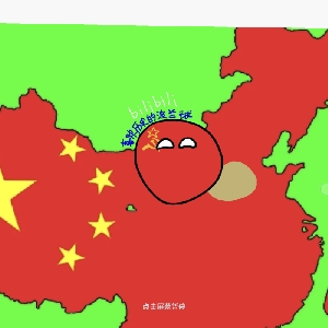 喜欢历史的波兰球 