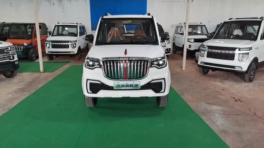 2020年新款红旗,油电两用电动车,冬天开暖和又平稳,下雪也不怕