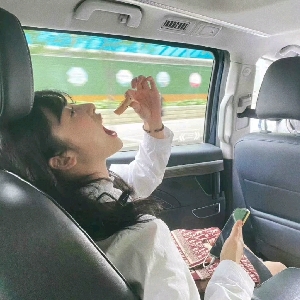 方鸽子点 