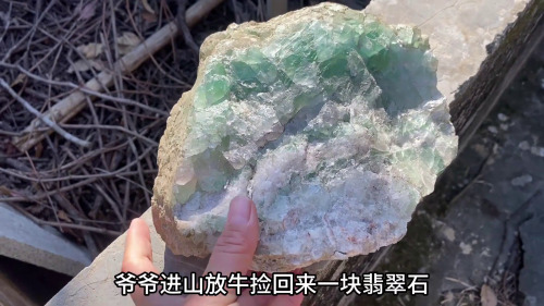 爷爷进山放牛捡回一块翡翠石,冲洗干净后,看看能值多少钱