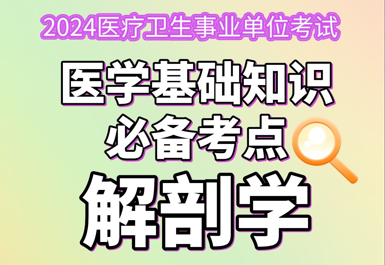 医疗卫生事业单位招聘考试——医学基础知识必备点(解剖学)