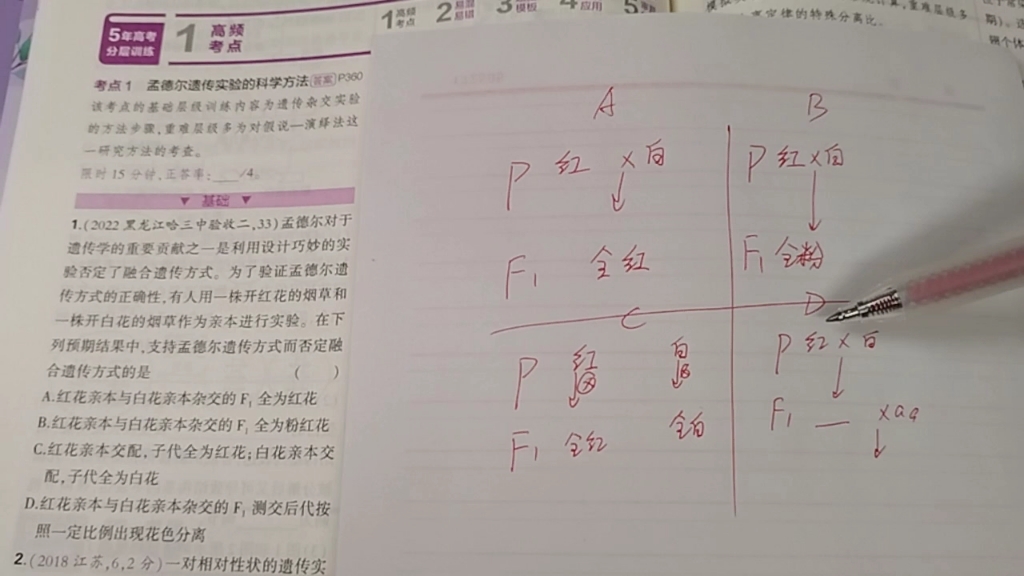 2023B版5年高考3年模拟专题11基因的分离定律p114-1