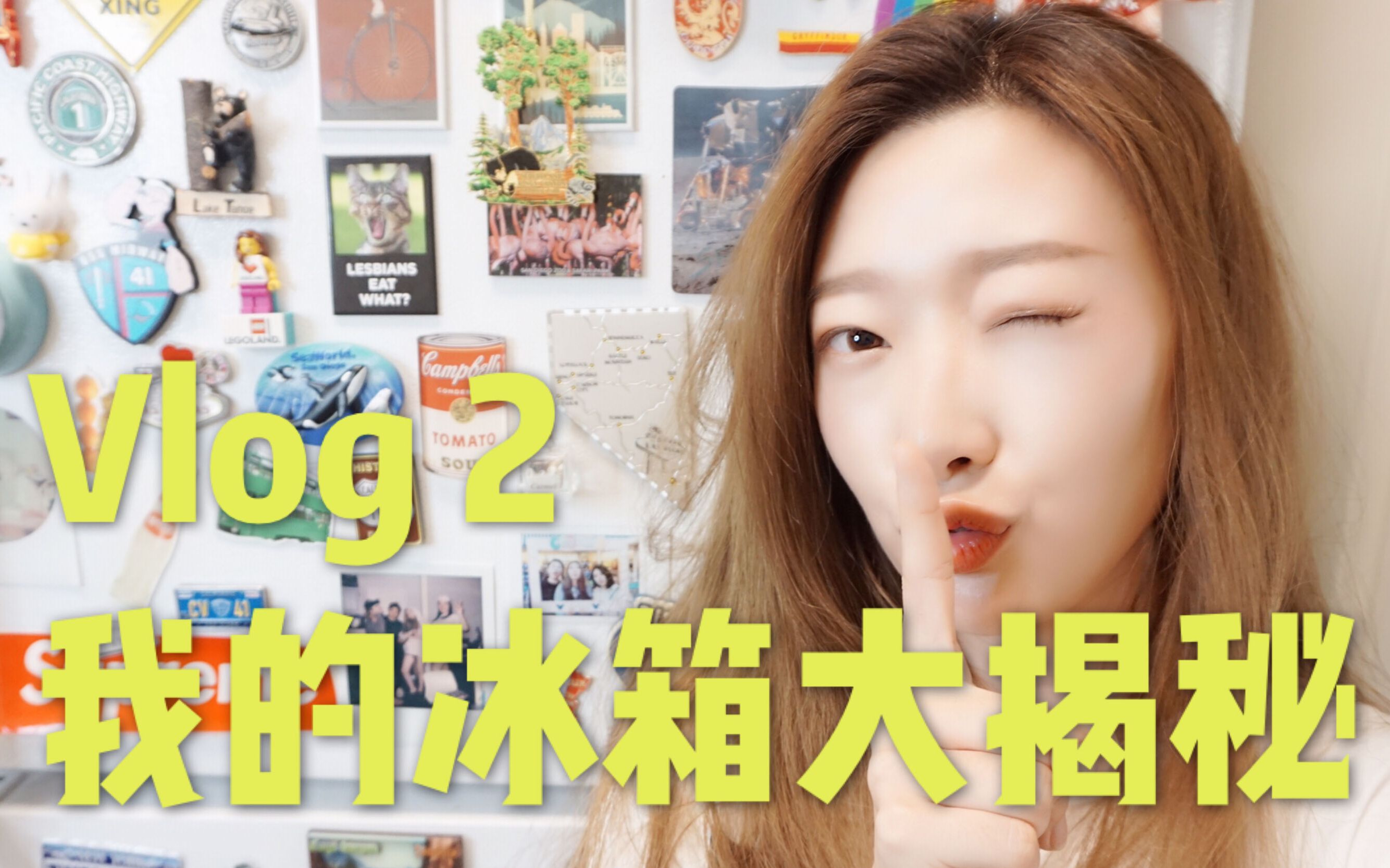 【Echo】| Vlog2: ?我的冰箱大揭秘! 博主的冰箱到底有什么.然而!