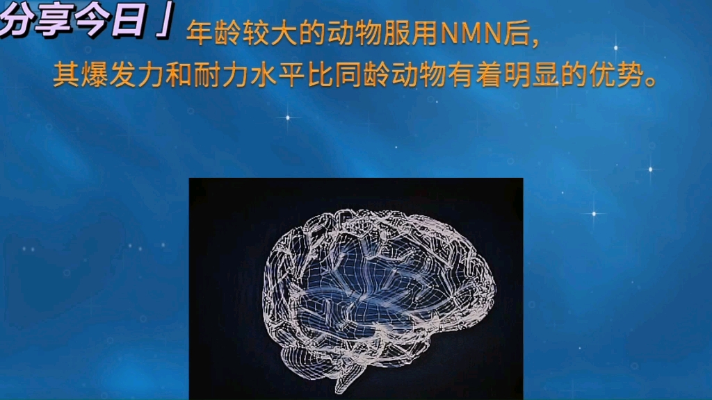 nmn的治疗作用