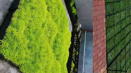 屋顶绿化 西咸新区楼顶绿化节能隔热,园林绿化种植营养土腐殖土,西安...