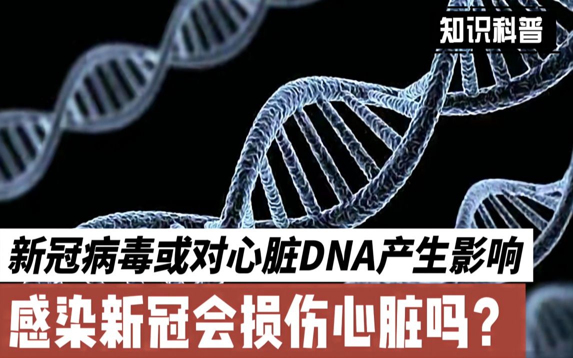 研究发现新冠病毒或对心脏DNA产生影响,感染新冠会损伤心脏?