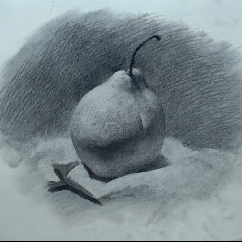 职业画师卓 