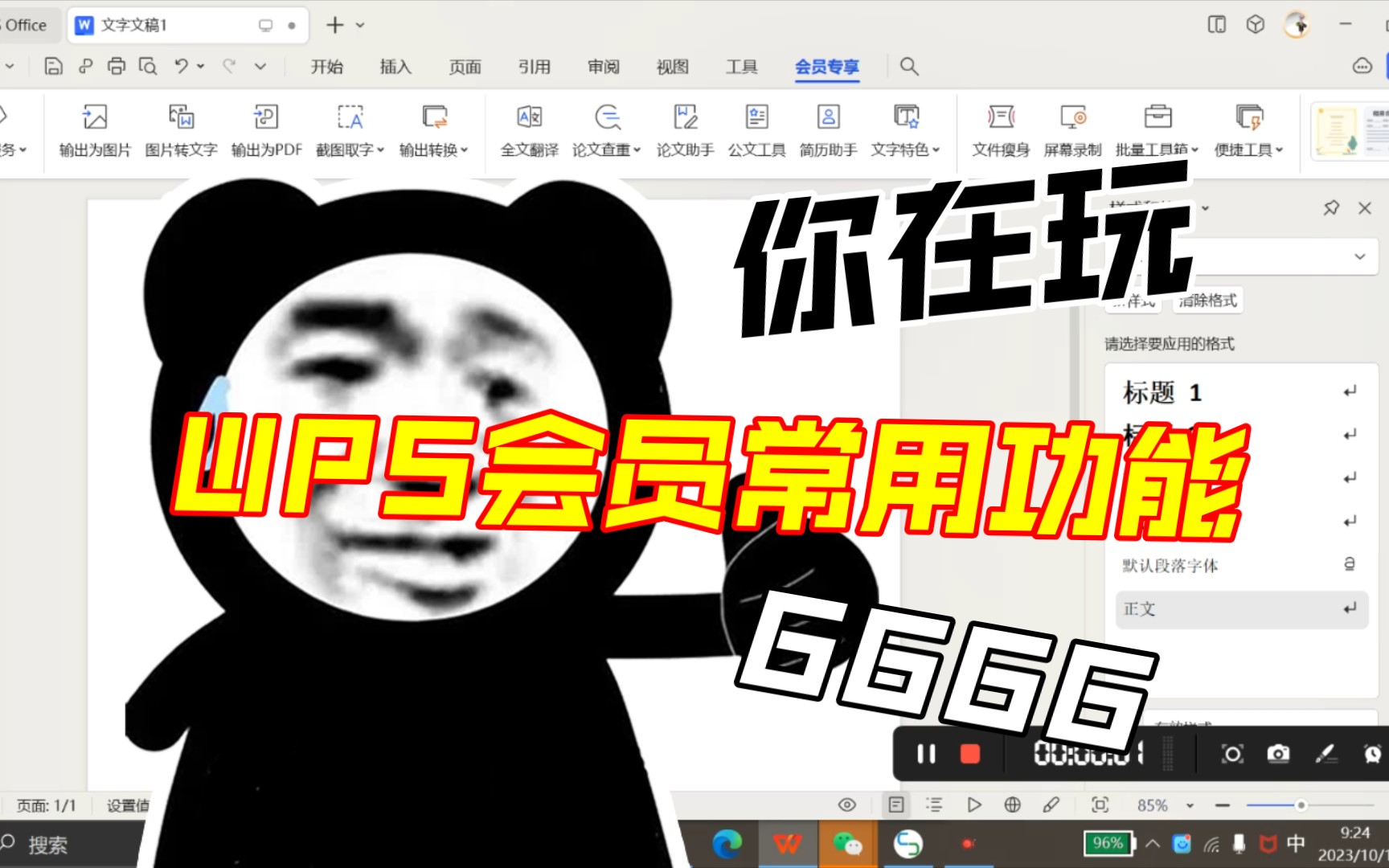 WPS会员常用功能:办公效率翻倍秘籍!