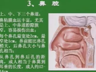 气管插管和支气管插管(泸州医学院)